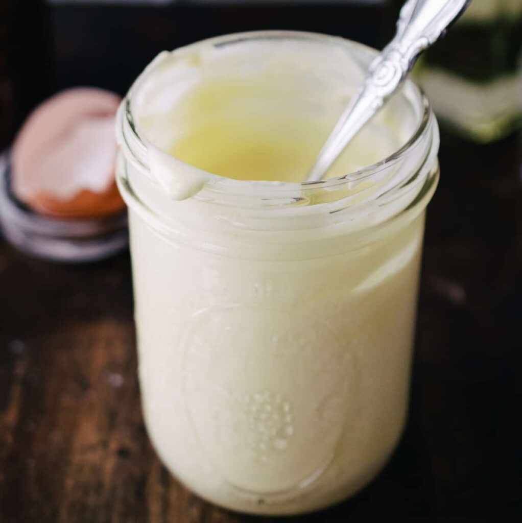 Seasoned Mayo Recipe - The Frozen Biscuit