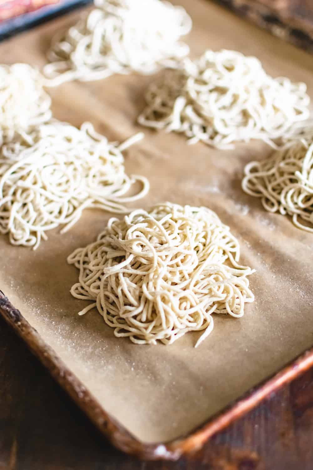 Alkaline Noodles - The Frozen Biscuit