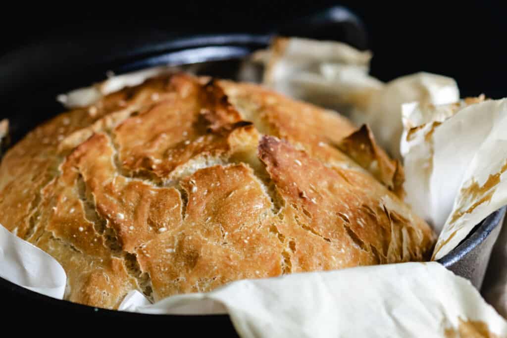 Dutch Oven Artisan Bread